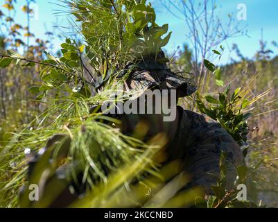 A US Marine Corps scout sniper with 1st Marine Division prepares an ...