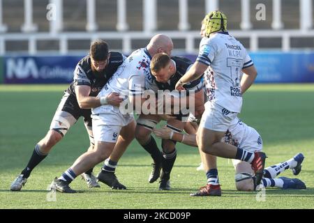 Callum Chick of Newcastle Falcons is challenged during the Gallagher ...