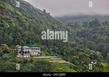 Pussellawa, Kandy District, Sri Lanka Stock Photo - Alamy