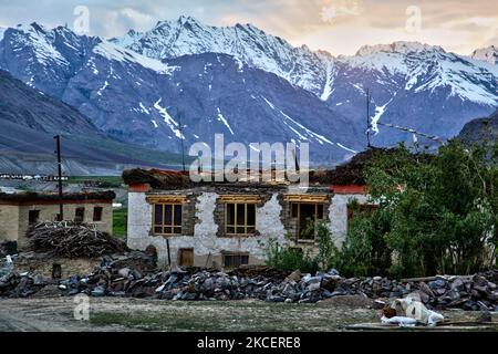 Traditional house in the Abran village in Zanskar, Ladakh, Jammu and ...