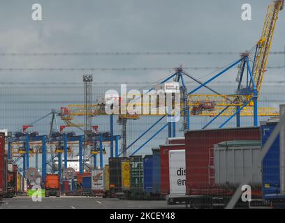 A general view of lorries waiting in the container terminal in Belfast ...