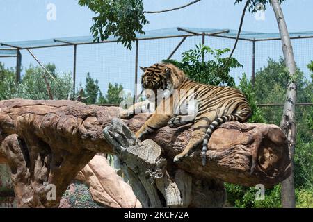 A view at the largest Attica Zoo Park in Greece on May 25, 2021. This ...