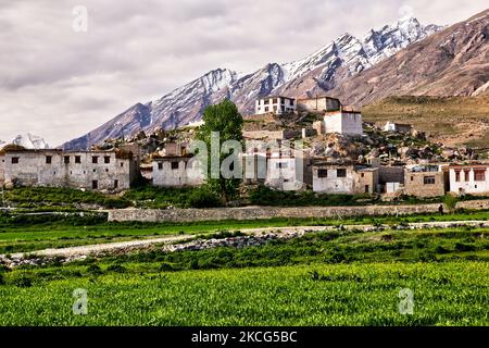 Houses in the village of Padum located high in the Himalayas in Zanskar ...