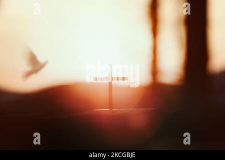 The white dove and the holy cross of Jesus Christ symbolize death and resurrection love Stock ...