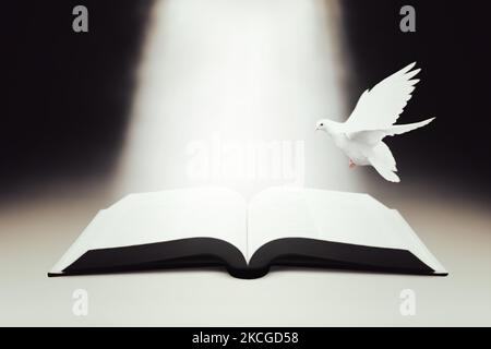 The shining word of life, the bible, the bright beam of light, and the ...