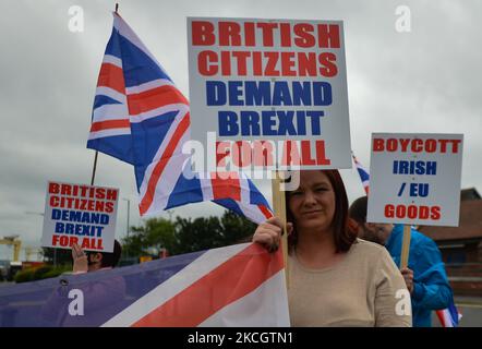 A group of Loyalists holds a protest against the Northern Ireland ...