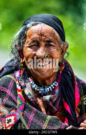 Hindu Thakur woman in traditional clothing carrying a bundle of sticks ...