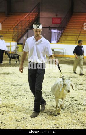 Farmer shows off a goat during a livestock competition in Markham ...
