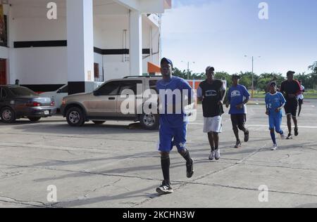 Estadio Francisco Micheli baseball stadium in the city of La Romana in ...