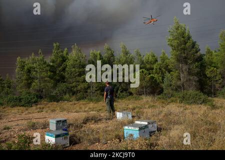 Residential areas in Athens northern suburbs were evacuated after ...