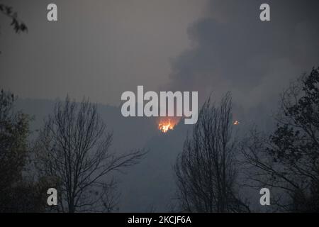 Wildfire in the Galatsona village, in Evia (Euboea) island, Greece, on ...