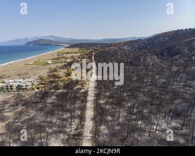 Drone footage shows devastating aftermath of wildfires in Evia, Greece ...