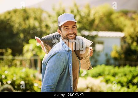 Happy young man farmer carrying tomatoes in wooden boxes in a ...
