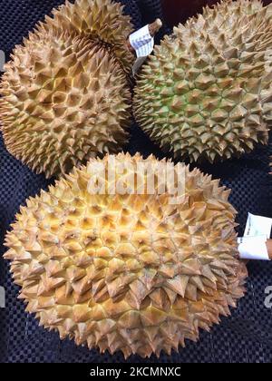 photo of durian fruit on market tray Stock Photo - Alamy