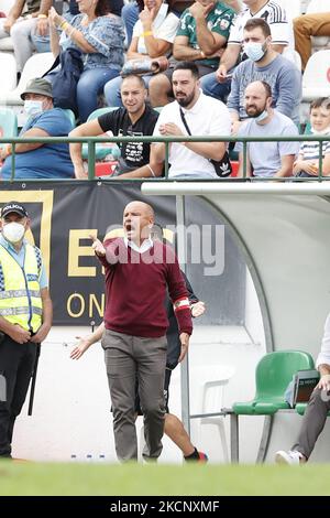 Jose Mota during Liga Portugal game between SC Farense and SL Benfica ...