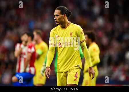 Virgil van Dijk during UEFA Champions League match between Atletico de ...