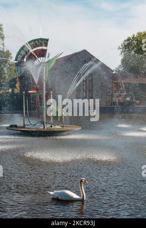 City fountain and pond with swan and ducks in Old European City ...
