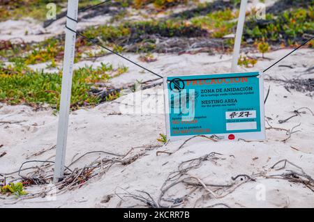 Sea turtle nesting area sign Stock Photo - Alamy