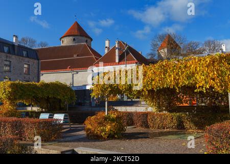 TALLINN, ESTONIA - OCTOBER, 11, 2021: Townhall tower. Streets of old ...