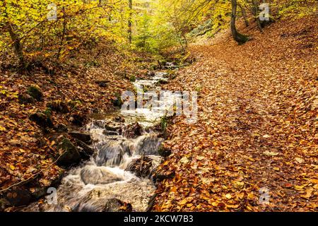 The Porter River rises on the edge of the Peak District and flows ...