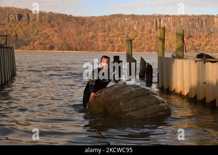 Actor and television host Justin Fornal hollowed out a 1,500 pound ...