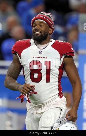 Arizona Cardinals tight end Darrell Daniels (81) during an NFL football ...