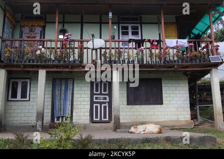 Dozens of flowering plants rest on ledges along the second floor of a ...