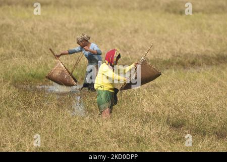 Women from the Tiwa tribe catch fish in a wetland at Dharamtul village ...