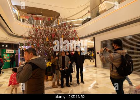 People pose with Christmas decorations and 2022 form as they celebrate ...