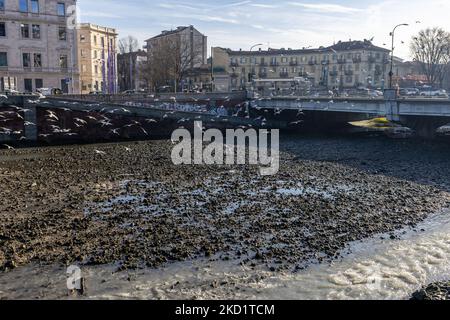 The extreme dryness of the Dora Riparia, a tributary of the Po river ...
