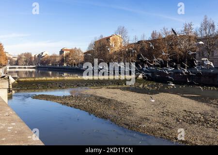 The extreme dryness of the Dora Riparia, a tributary of the Po river ...