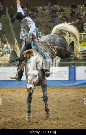 Dylan Schoefield from Phipps, South Dakota, USA competes in the Saddle ...