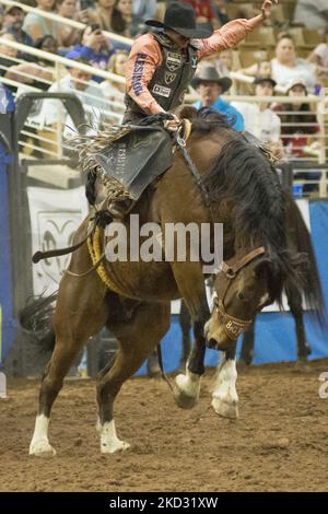 Silver Spurs Rodeo, Kissimmee, Florida USA - in the team roping event ...