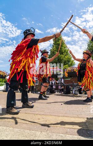 Traditional folk Morris dancers, Ragged Phoenix Morris side, dancing in ...