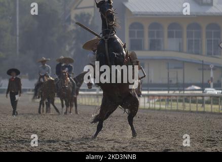 A charro performs the exhibition of the galen at the Hipódromo de Las ...