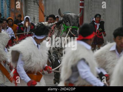 A scene of bull running through the streets of San Juan Chamula on the ...