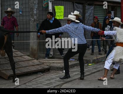 A scene of bull running through the streets of San Juan Chamula on the ...