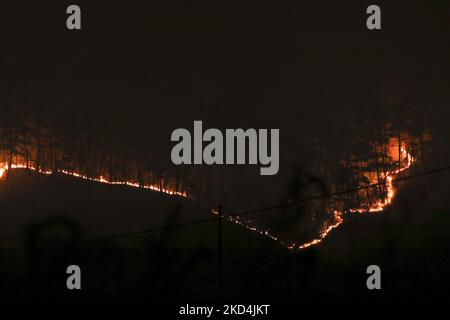 A wildfire burns in the eastern city of Uljin. The fire started in the ...