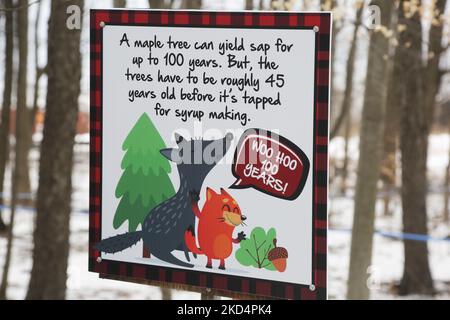 Sign explaining some of the many interesting facts about maple syrup ...