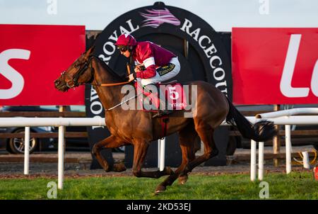 Belfast, UK. 5th November 2022.. King Of Kingsfield and Mr Jamie Codd ...