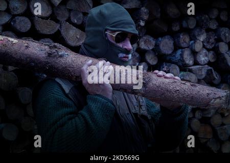 In the moonlight the wood thief steals firewood in the forest Stock ...