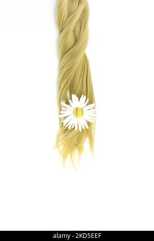 Blond hair wave with chamomile flower on white background. Strand of ...