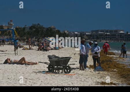 Seaweed cleaning on a busy beach in Playa del Carmen. On Tuesday, 22 ...