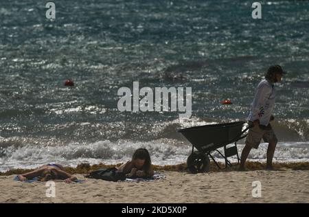 Seaweed cleaning on a busy beach in Playa del Carmen. On Tuesday, 22 ...