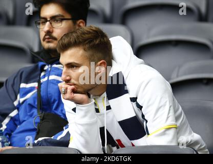 A Tottenham Hotspur fan during the Premier League match at the ...