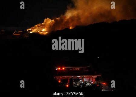 A fire ripped through the historical Shurijo castle in Naha, a UNESCO ...