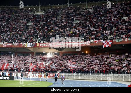 Algeria fans cheer their team during the international friendly soccer ...
