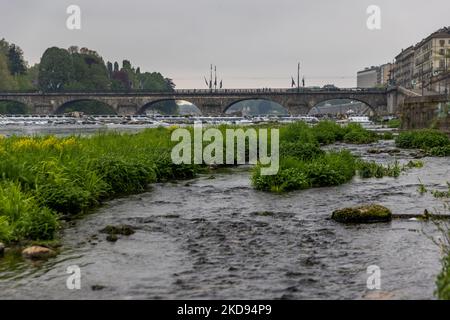 The water shortage in the river Po in the central area of Turin creates ...