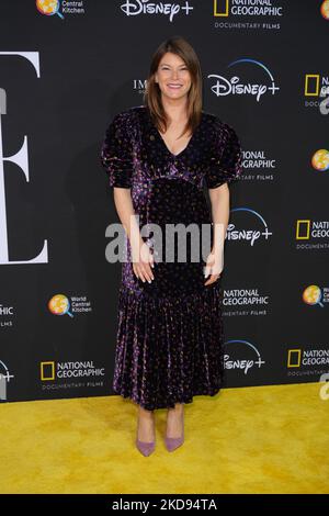 NEW YORK, NEW YORK - MAY 03: Gayle Simmons attend National Geographic ...