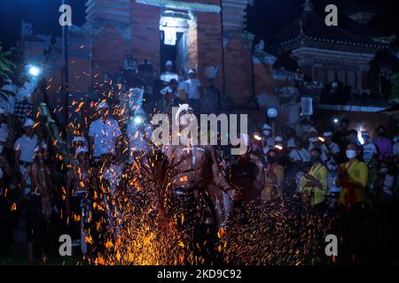 A Balinese man is hit with burning dried coconut leaves during a fire ...
